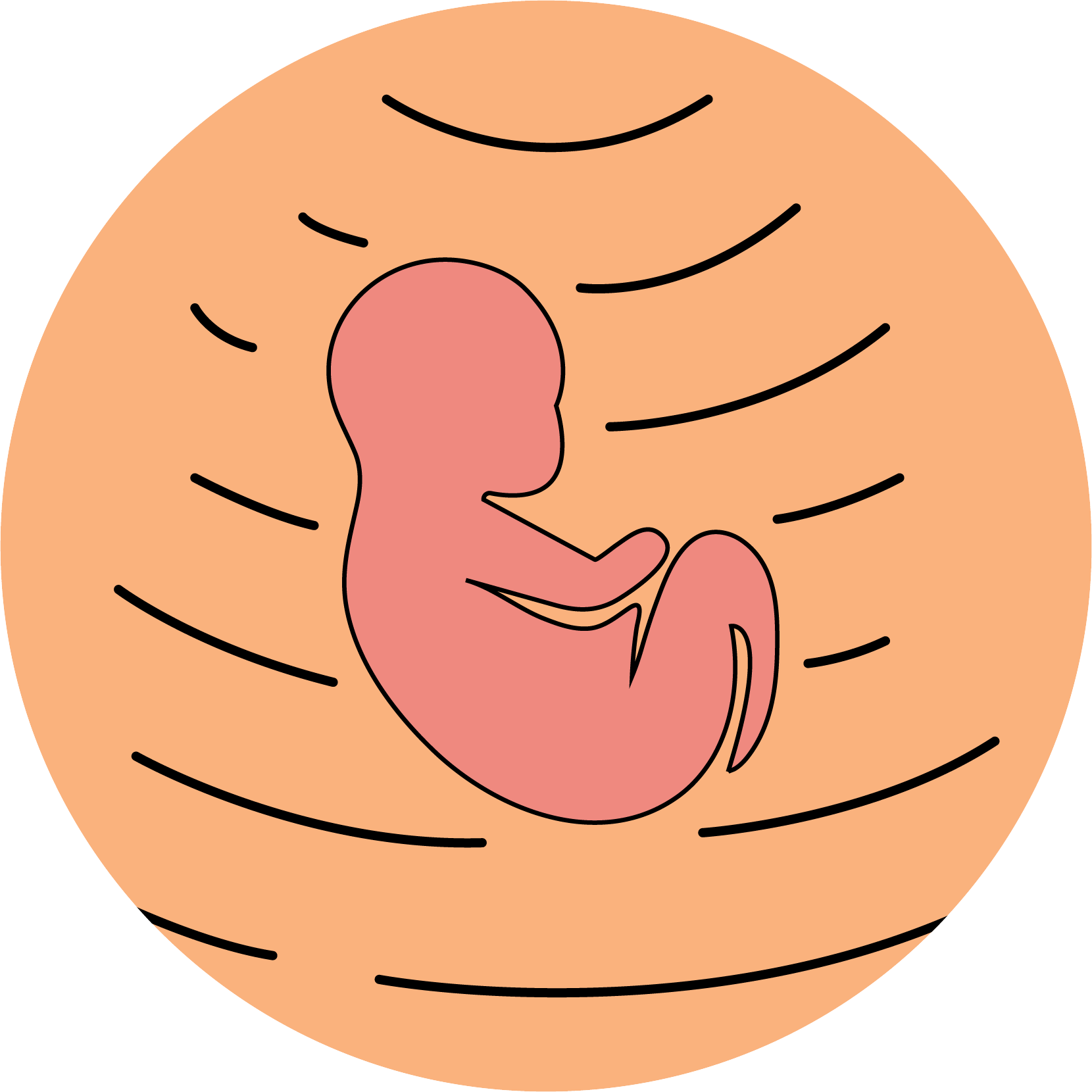 Konnect | Center For Fetal Medicine